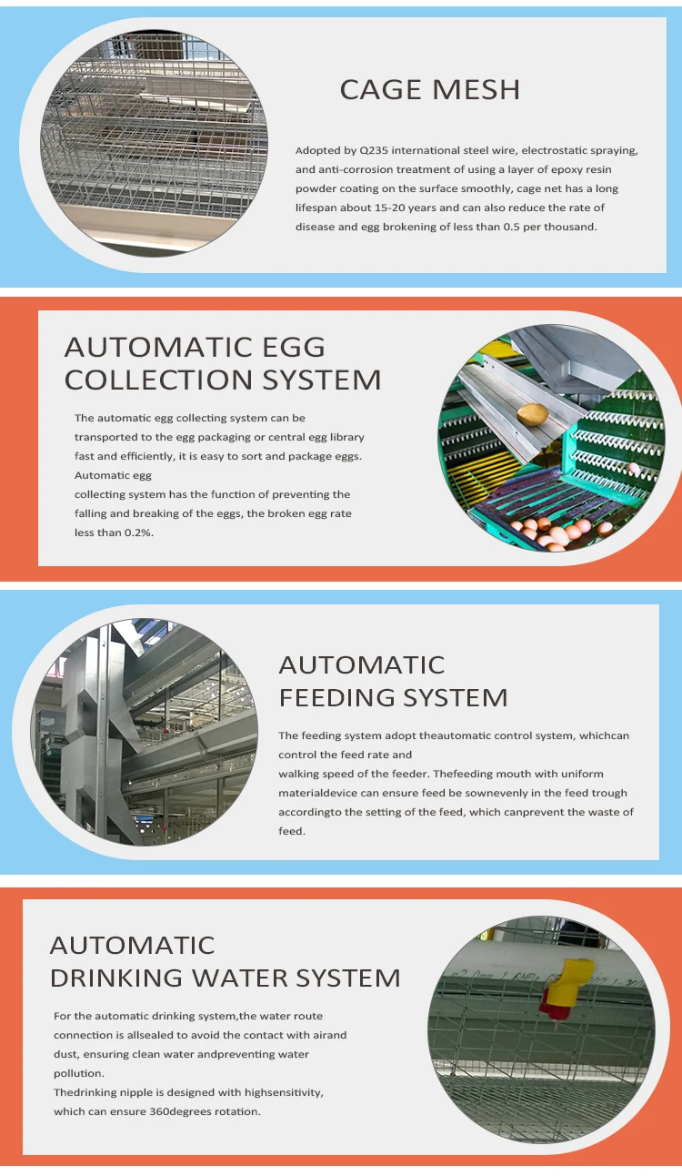 poultry-farming-project-h-type-layer-chicken-cage-new-technology-layer