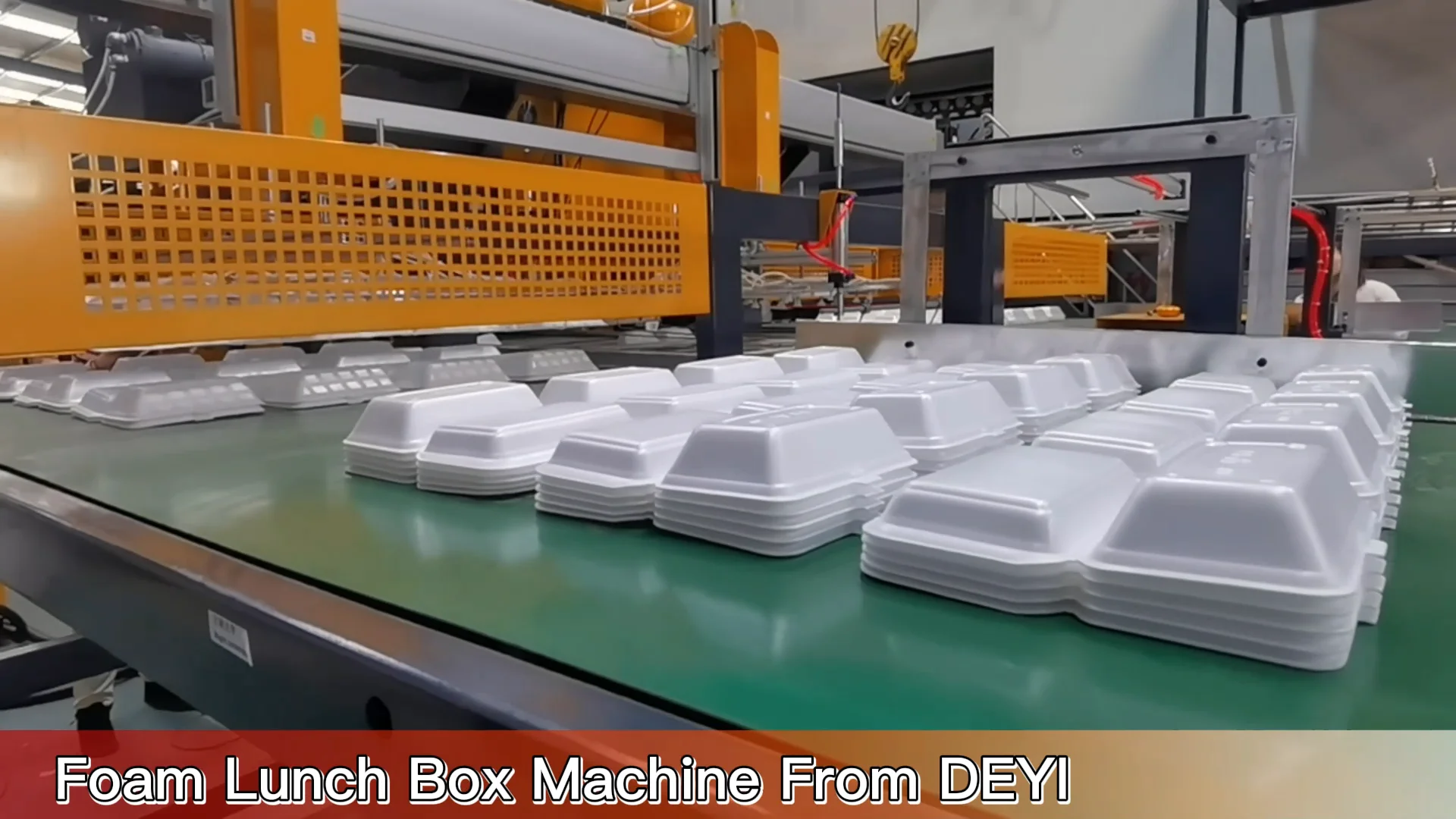 Thermocol Pet Pp Ps Pla Disposable Food Container Boxes Making Machine ...