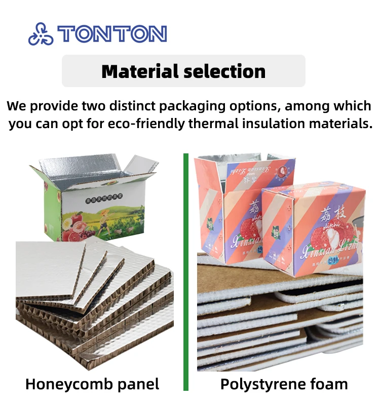 Insulated Food Cooler Packaging - Perfect for Frozen Shipping