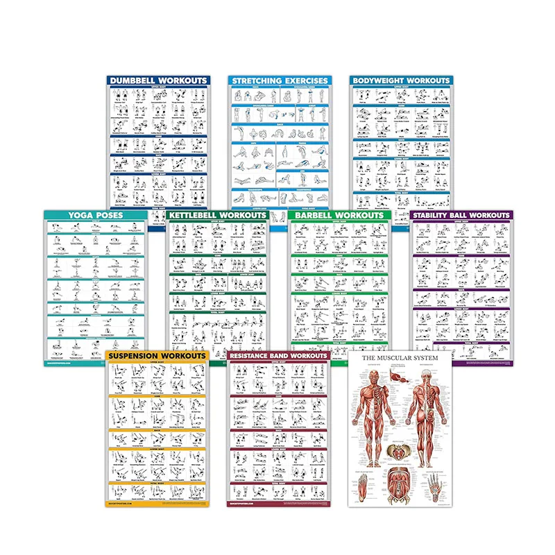 Yoga Poses Poster Beginner Yoga Position Chart English And Sanskrit ...