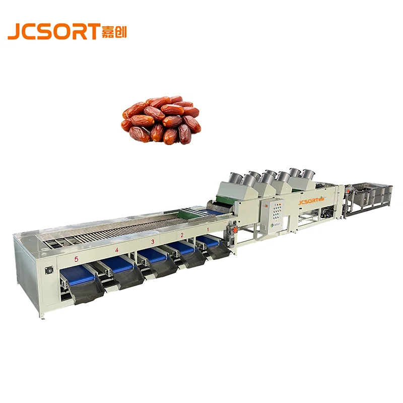 Jc Sort Reliable Uniform Date Palm Cleaning Grading Line Smart ...
