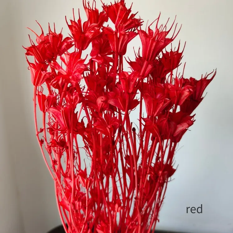 Natural Star Anise Octagon Flower Dried For Bouquets & Wedding Decor ...