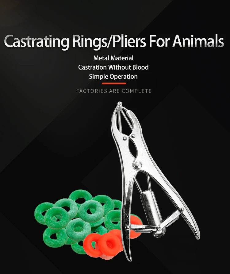 Elastrator Bloodless Castration Plier Rubber Ring Applicator Stainless ...