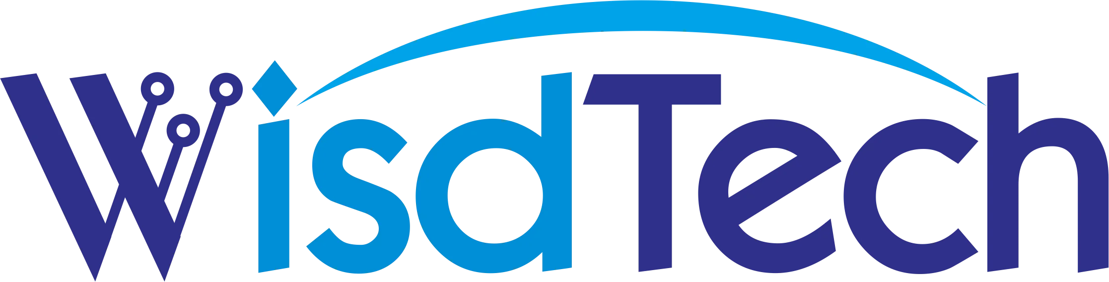 Company Overview - Shenzhen Wisdtech Technology Co., Ltd.