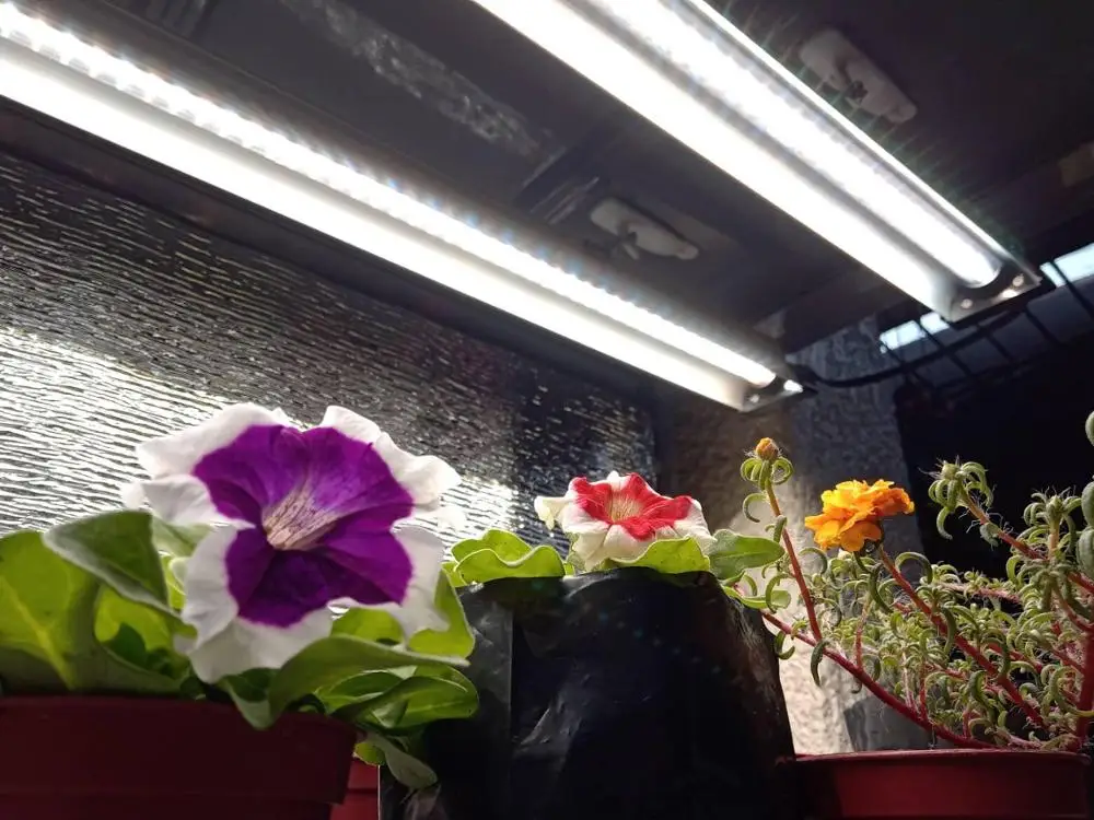 Waterproof LED Grow Light Bar - Full Spectrum for Indoor Farming