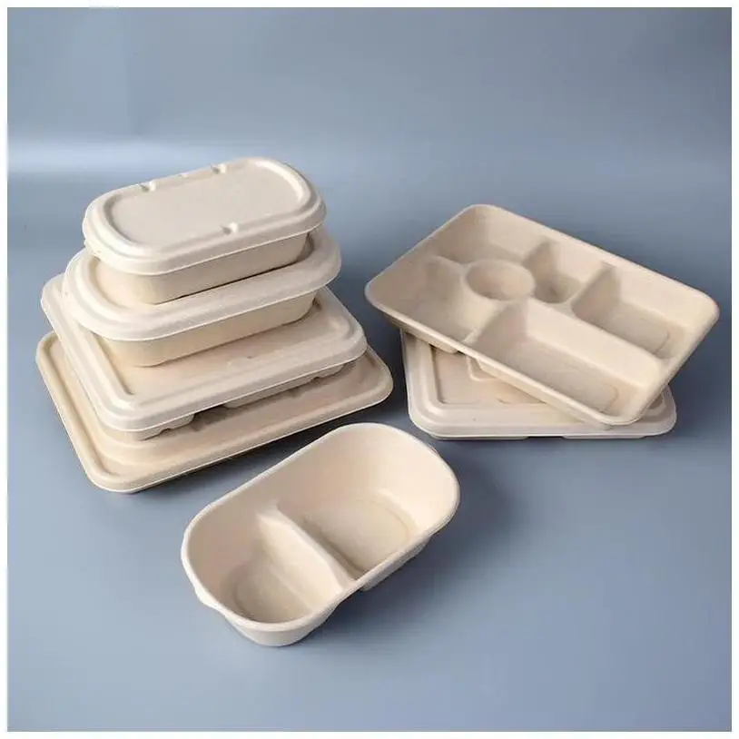 Disposable Food Storage Box Recyclable Tiffin 12 Pack Outdoor Cute Home ...