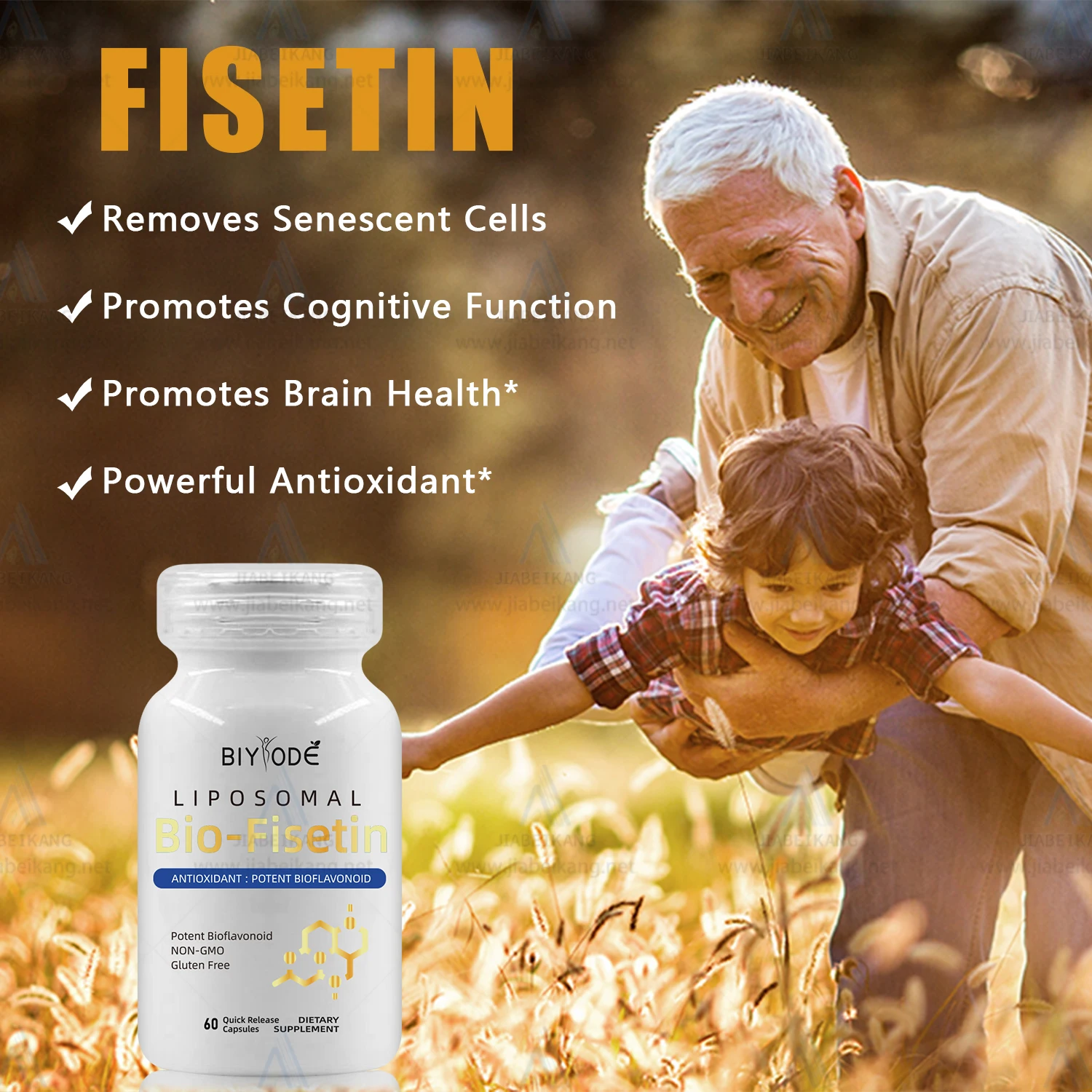 Biyode Bio-fisetin Liposomal Healthcare Supplement Immune Support ...
