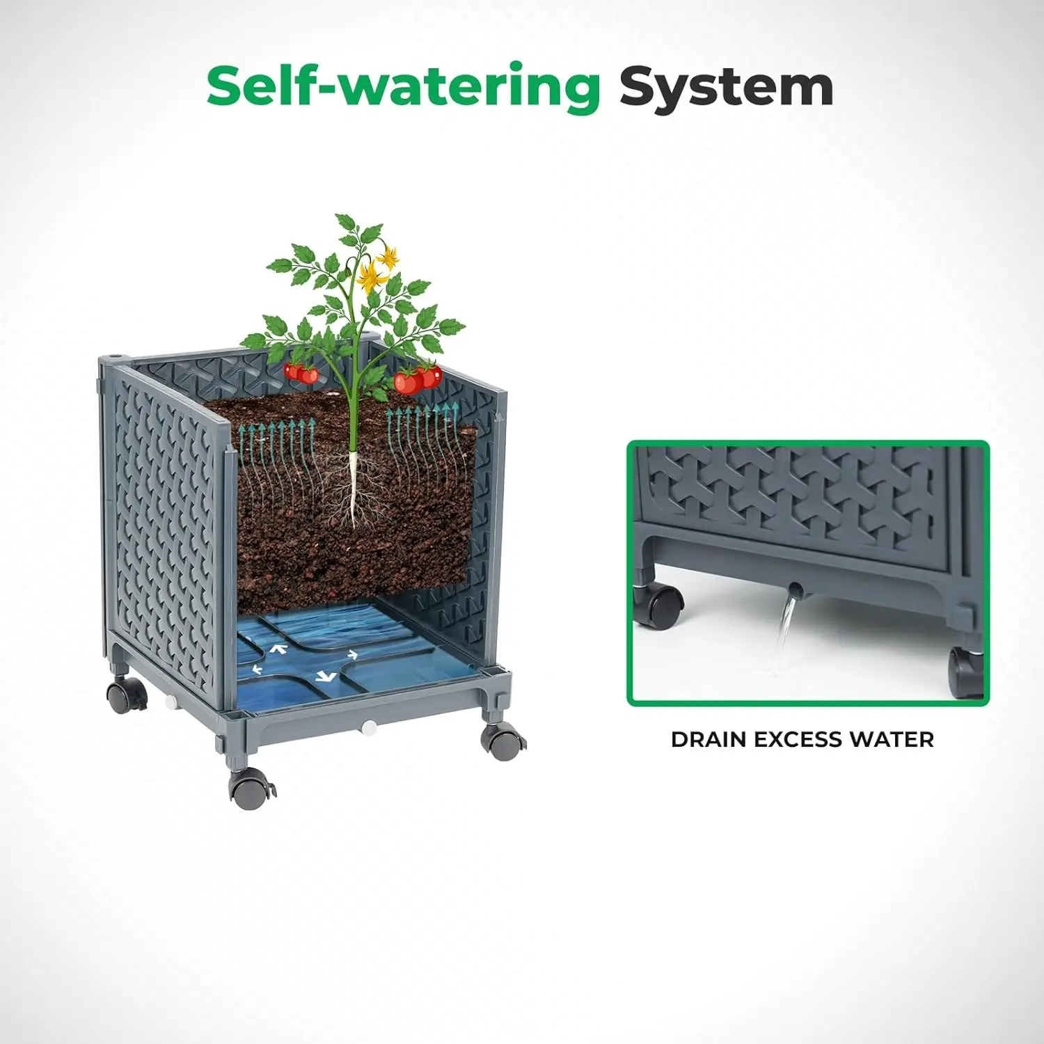 Hot Sell Square Iron Wire Plant Growth Frame - Tomato Cage