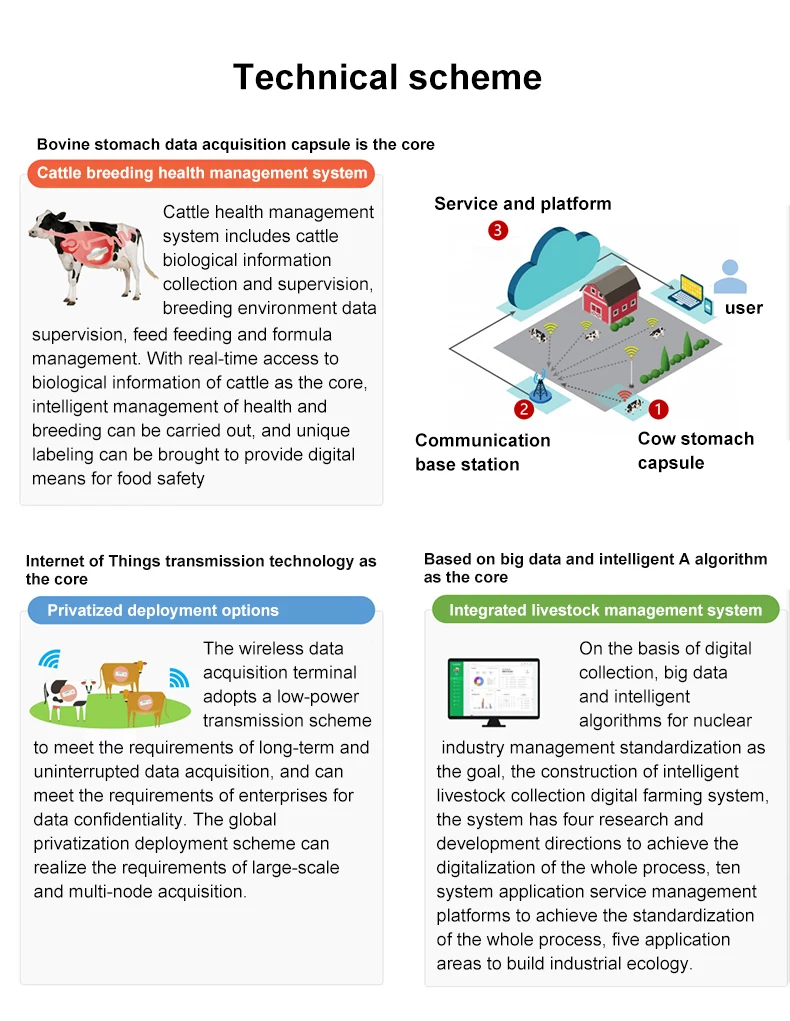 Sheep Rumen Capsule Ai Biological Capsule, Animal Husbandry Intelligent ...