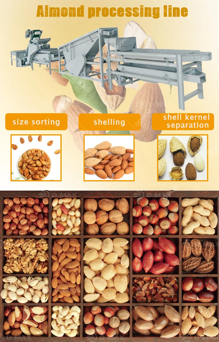 Palm Kernel Nut Hazelnut Cracking Machine Apricot Kernel Shell Separating Machine Almond ...