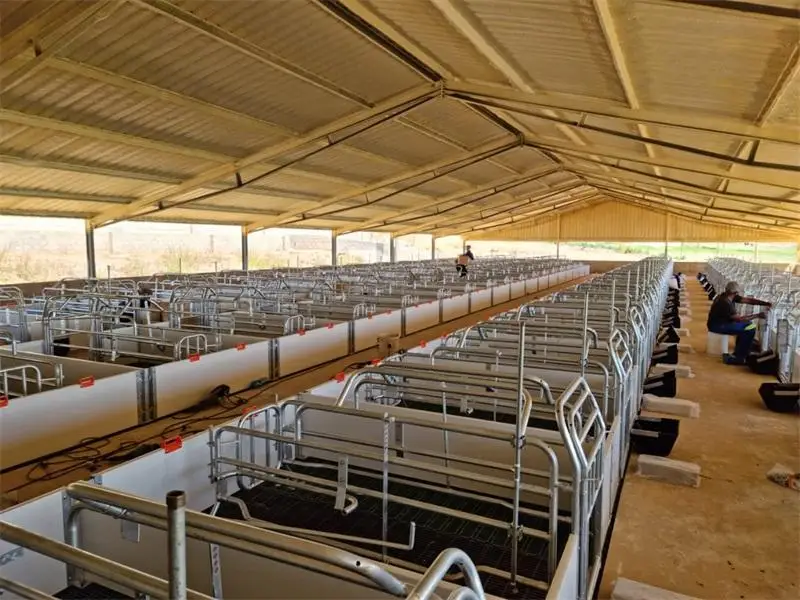 High Quality Pig Farrowing Stalls Pig Bed Sow Birthing Pen For Sale ...