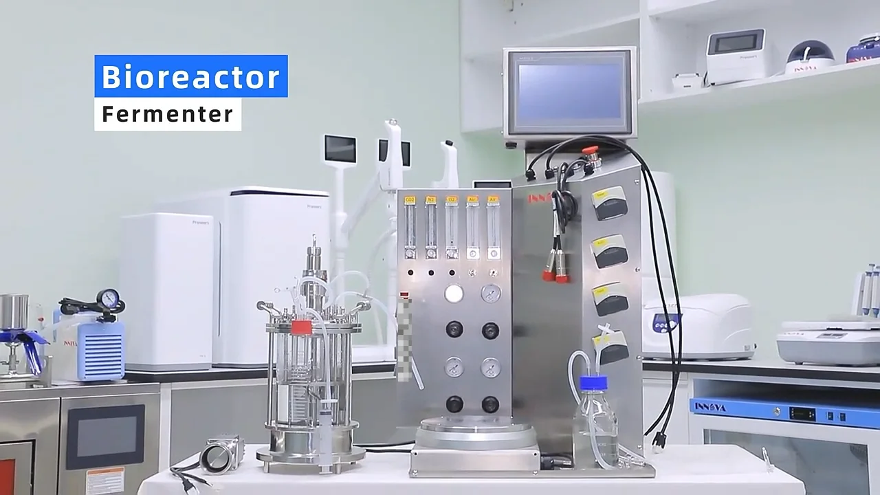 Industrial Batch Reactors Lab Bioreactor Fermenter 1l 5l 10l Bench Top ...