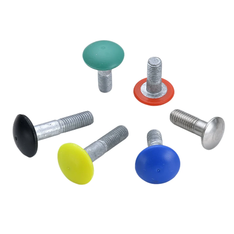 Stainless Steel 304/316 Plastic Capped Round Head Silo Bolts