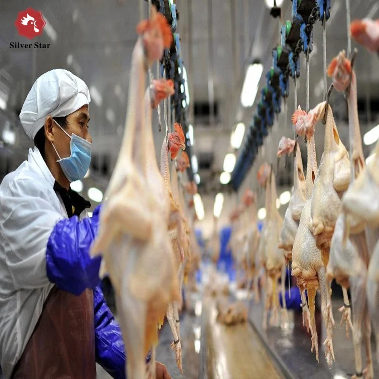 Poultry Farm 3-5 Tiers Laying Hen Cages with Egg Collection System ...