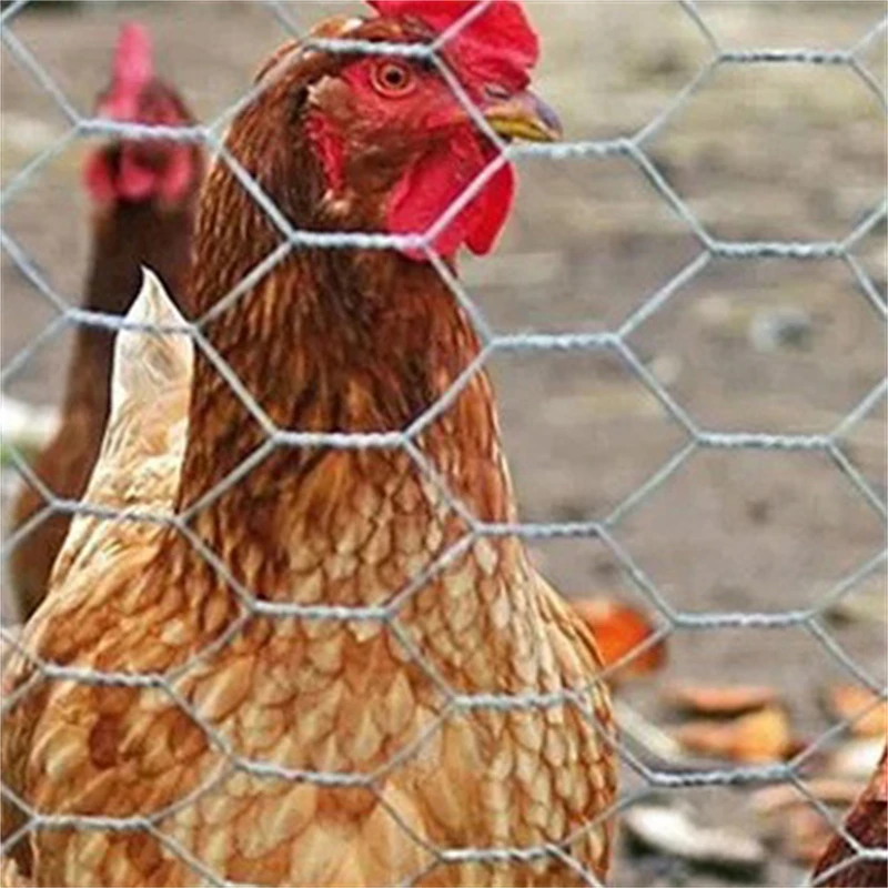 3ft 4ft 5ft 6ft Poultry Farms Fence Net Galvanized Steel Galvanized PVC ...