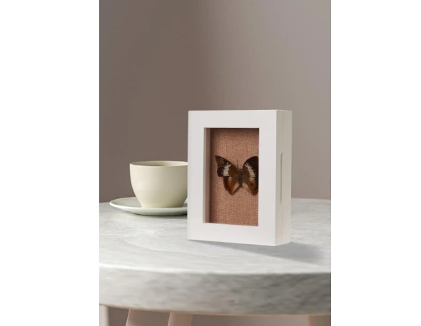 White Shadow Box Small Shadow Box Frame With Glass Tiny Display Case ...