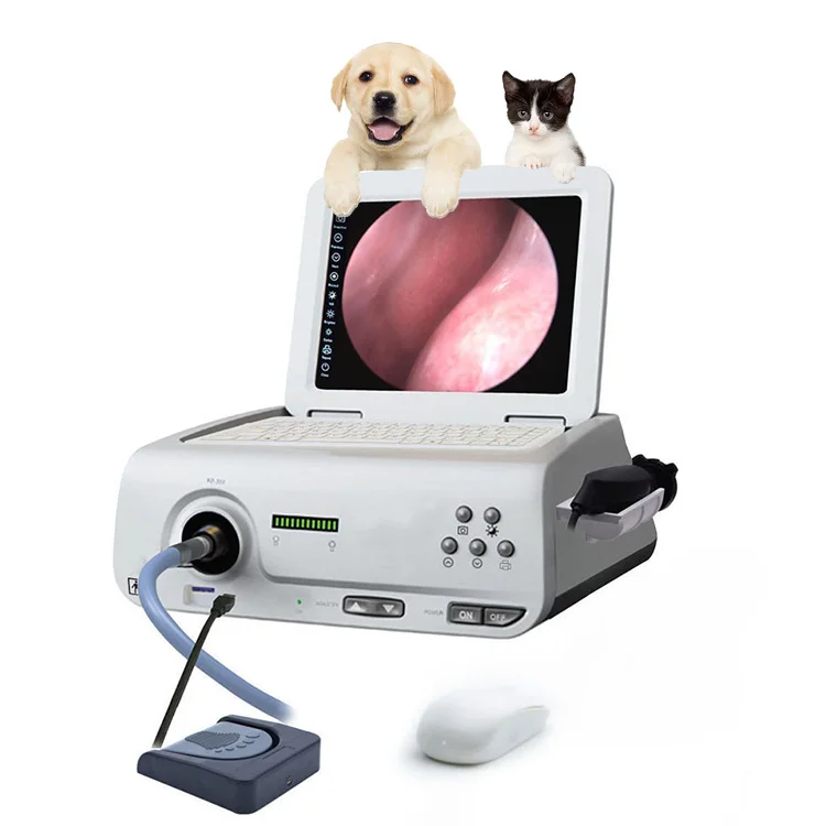 19'' Display Handheld Full HD Imaging Veterinary Endoscope Camera for ...
