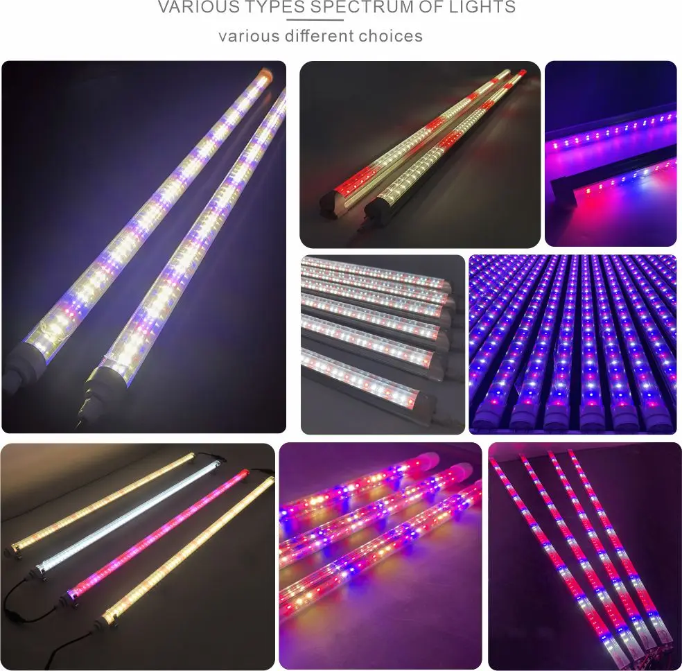 Led Grow Light Microalgae Growth Light Algae Lighting for Algae Cultures