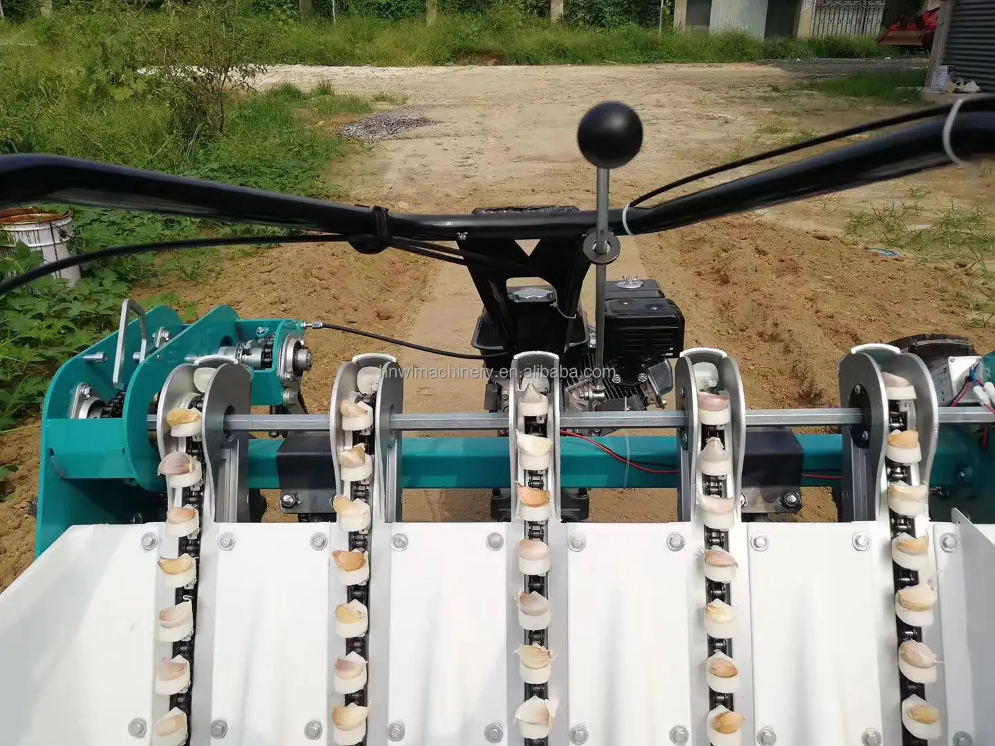 Garlic Seed Planter - Efficient Garlic Planting Machine