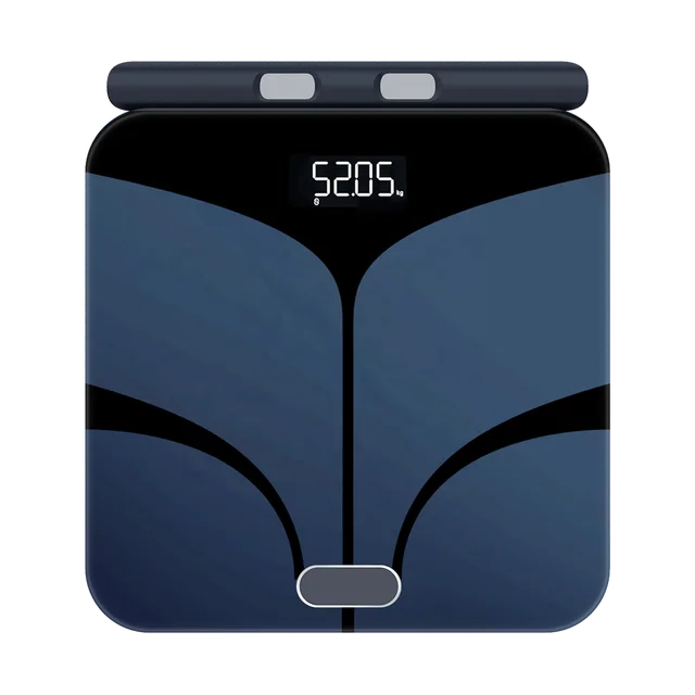 Company Overview - Guangdong Welland Technology Co., Ltd.