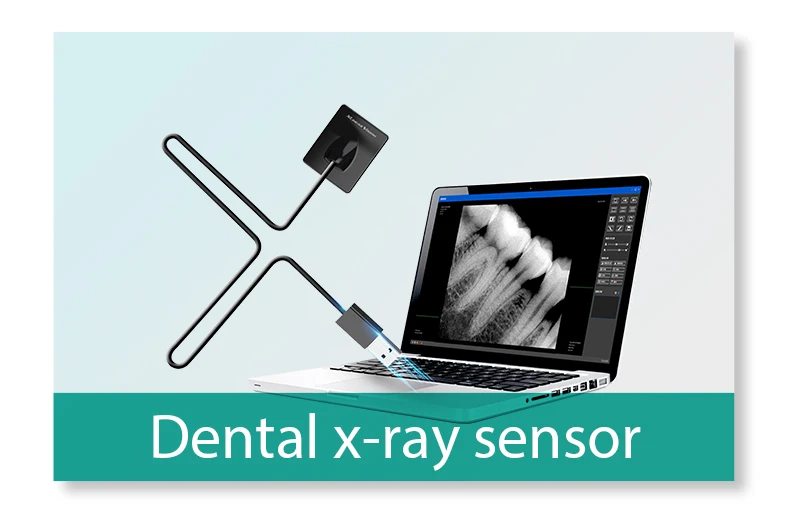 Dental Intraoral Xray Sensor High Efficiency For Use - Buy Dental X-ray ...