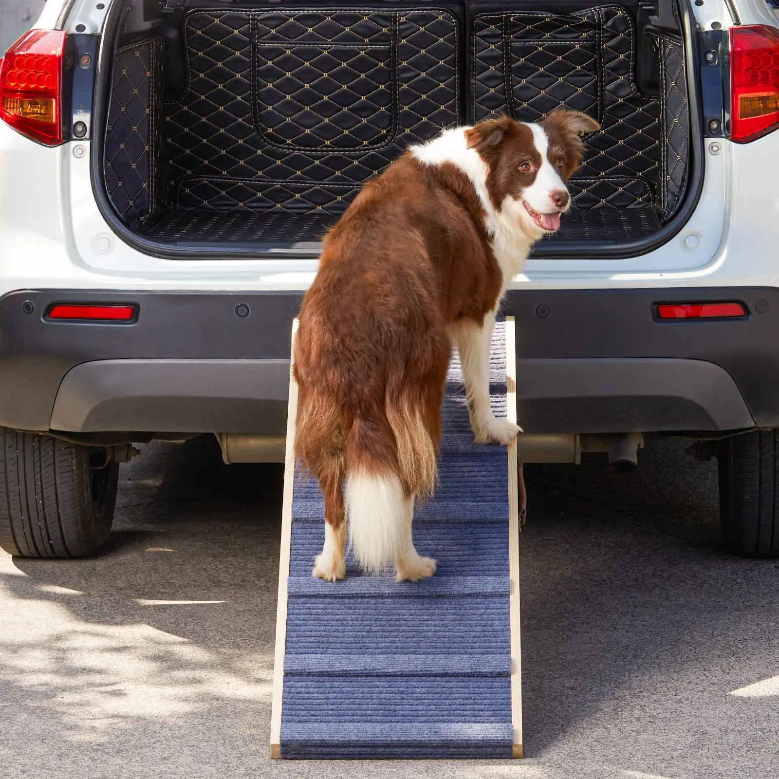 Zmaker Wooden Dog Ramp - Adjustable, Non-Slip Pet Stairs