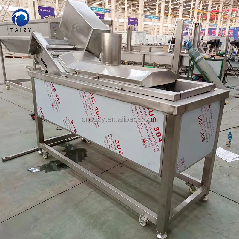 Continuous Conveyor Chip Deep Fryer - Falafel & Chicken