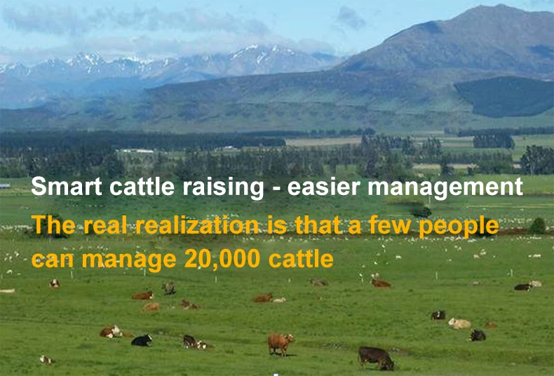 Smart Breeding Cow Farm - Iot Control with Lora GPS Tracking