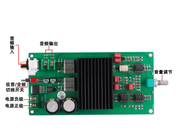 Tpa3255 Mono Class D Digital Power Amplifier 600w High Power Full ...