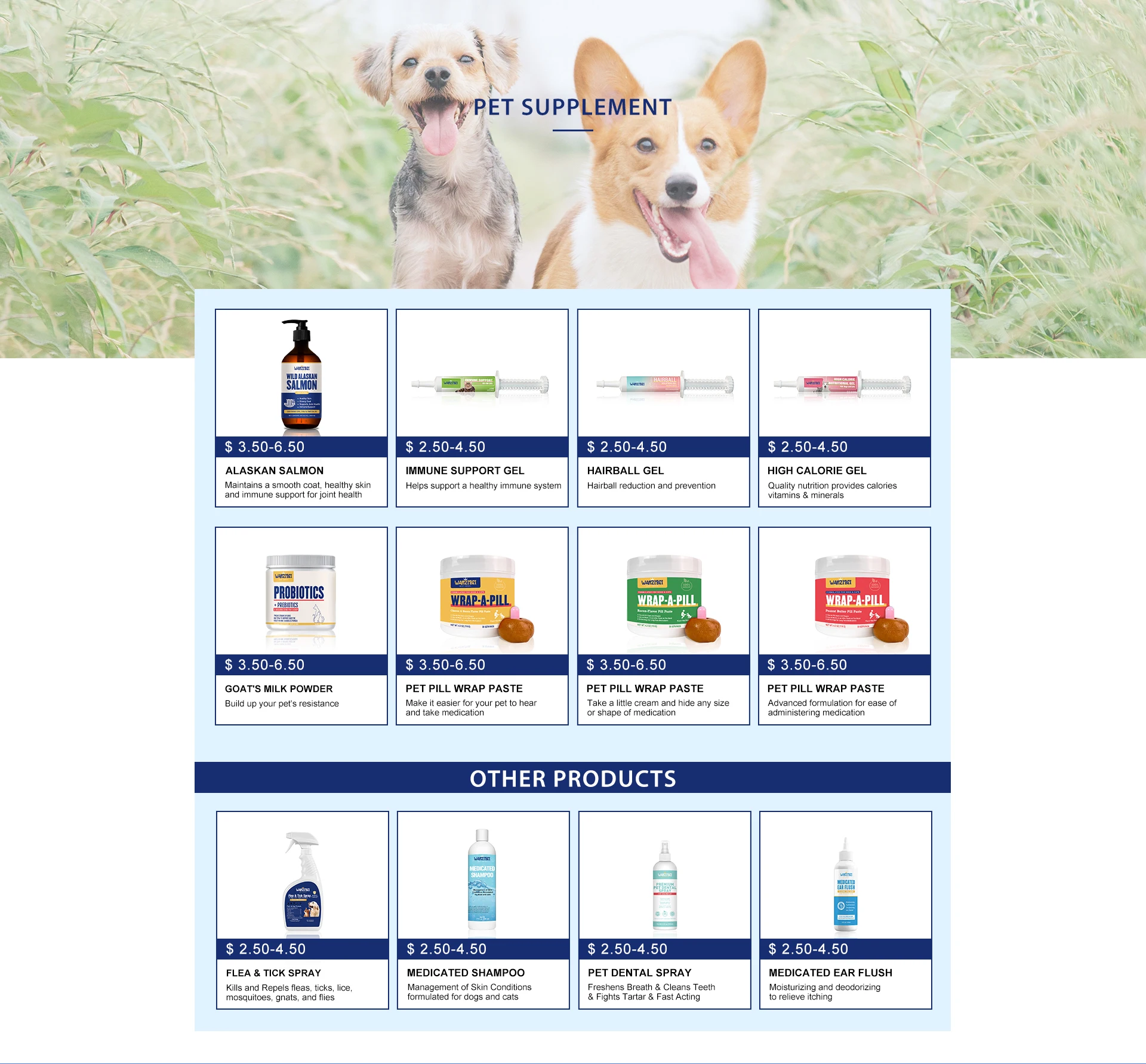 Company Overview - Guangzhou Wanzibei Biotechnology Co., Ltd.