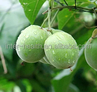 Organic Natural Sweetener Luo Han Guo Mogroside V 25%-50% Pure Monk ...