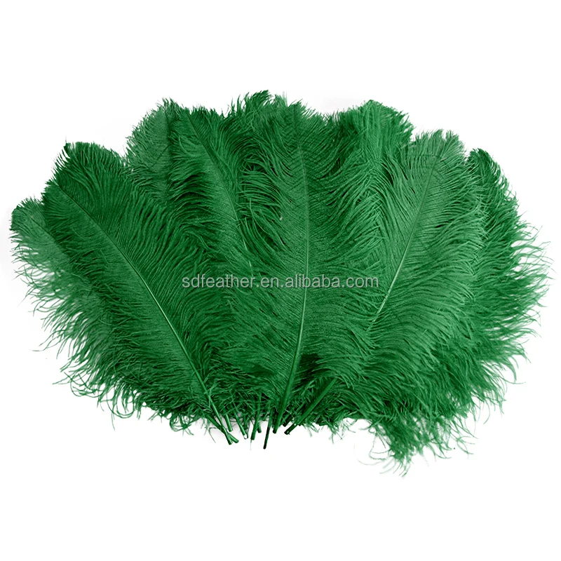 Large Plumes White Ostrich Feather Plumas for Costumes
