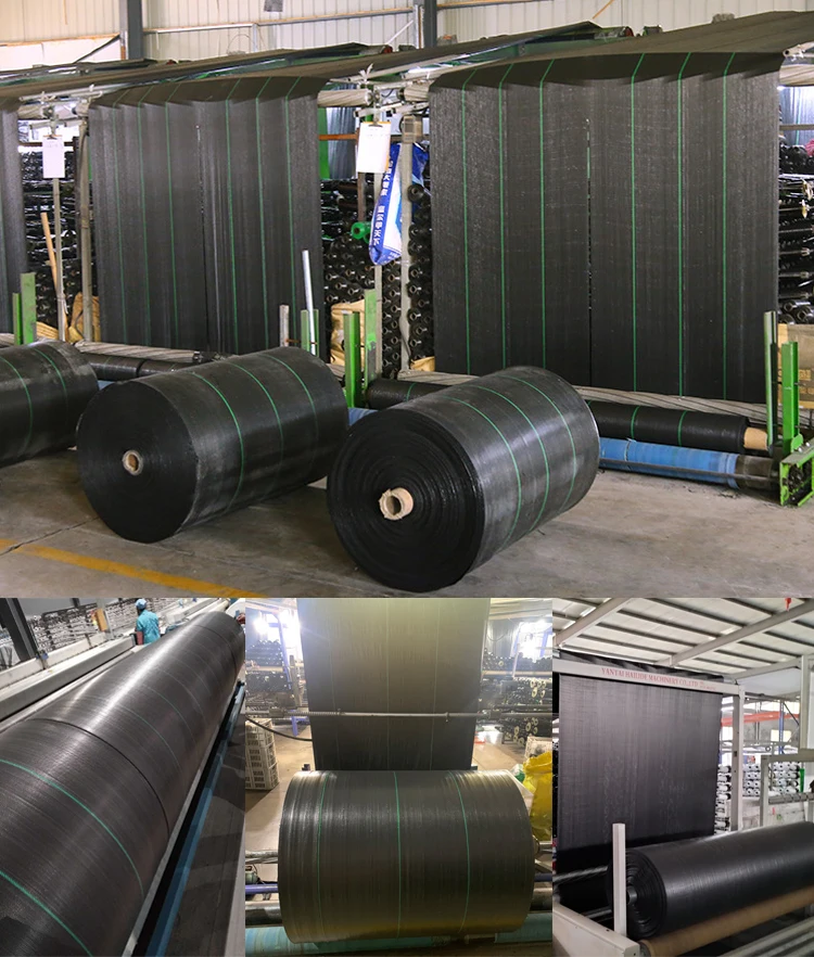 Uv Garden Mat Weed Control Cloth Ground Cover Landscape Pp Fabric Weed ...