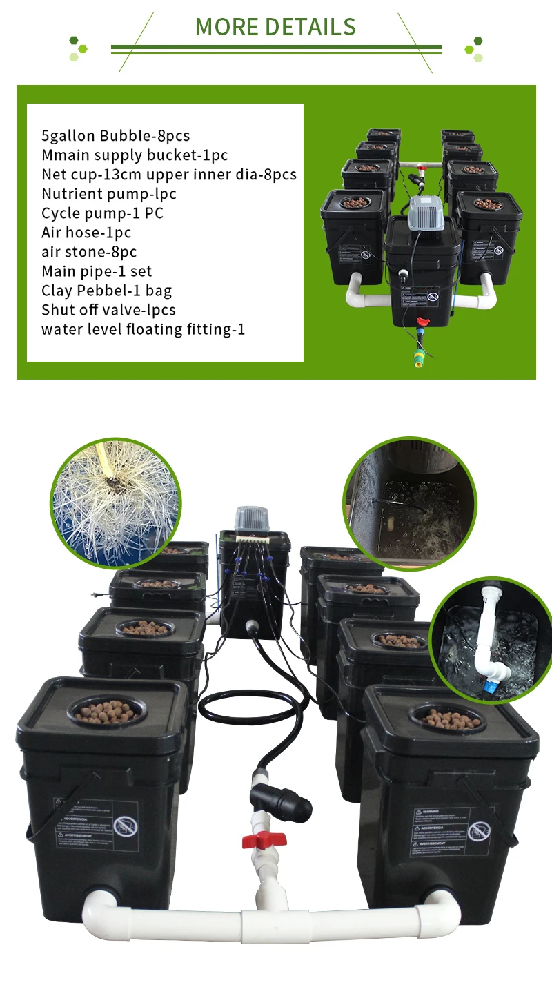 Rdwc 8 Buckets Recirculating Hydroponic System Dutch Bucket System - Buy Hydroponic System,Rdwc ...