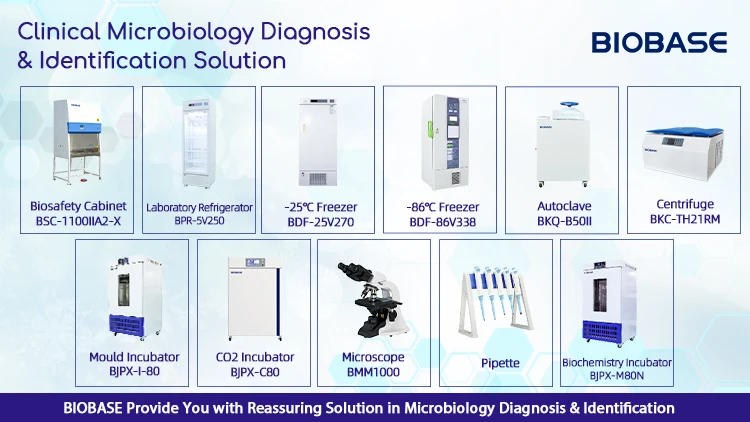 Biobase Gas Chromatography Mass Spectrometry Glass Column Gc Gas ...
