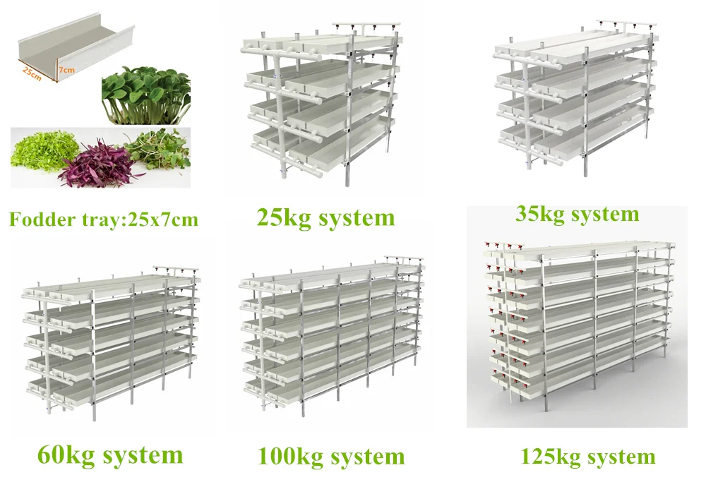 Vertical Barley Rack Machine - Efficient Hydroponic Fodder Growing System