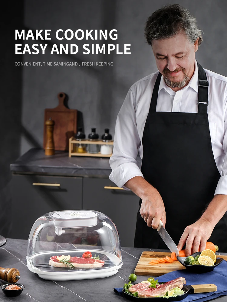 2022 New Defrosting Box For Faster Food De-icing Food-grade Meat ...