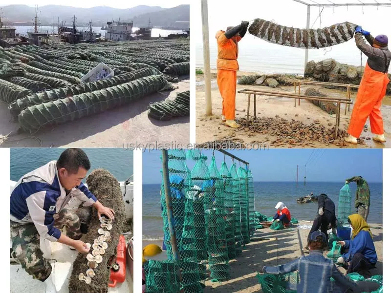Lantern Shape Aquaculture Scallop Oyster Farming Net Cage Trap