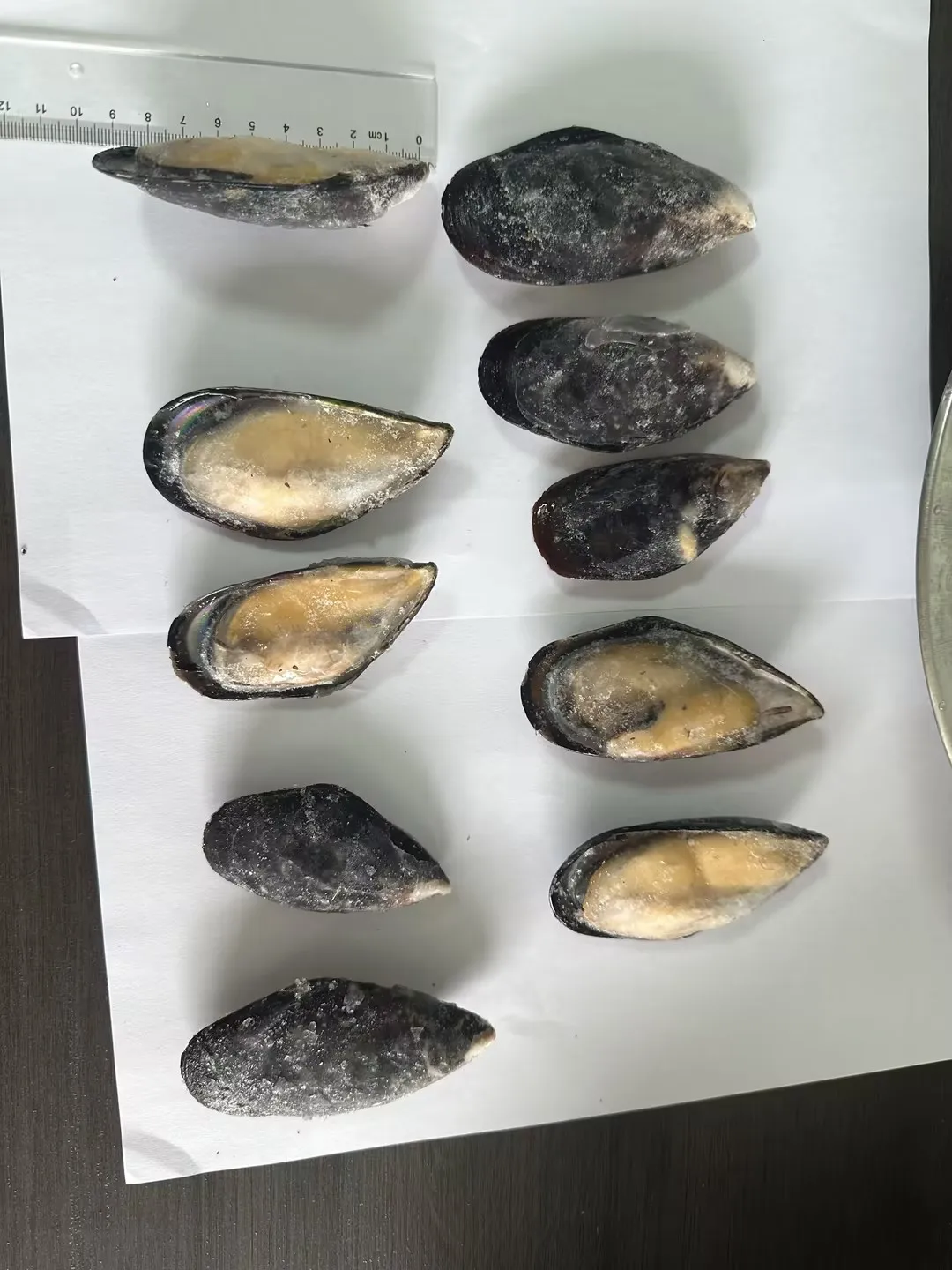 Frozen Black Mussel Half Shell Mussel Price Of Mussels - Buy Price Of ...