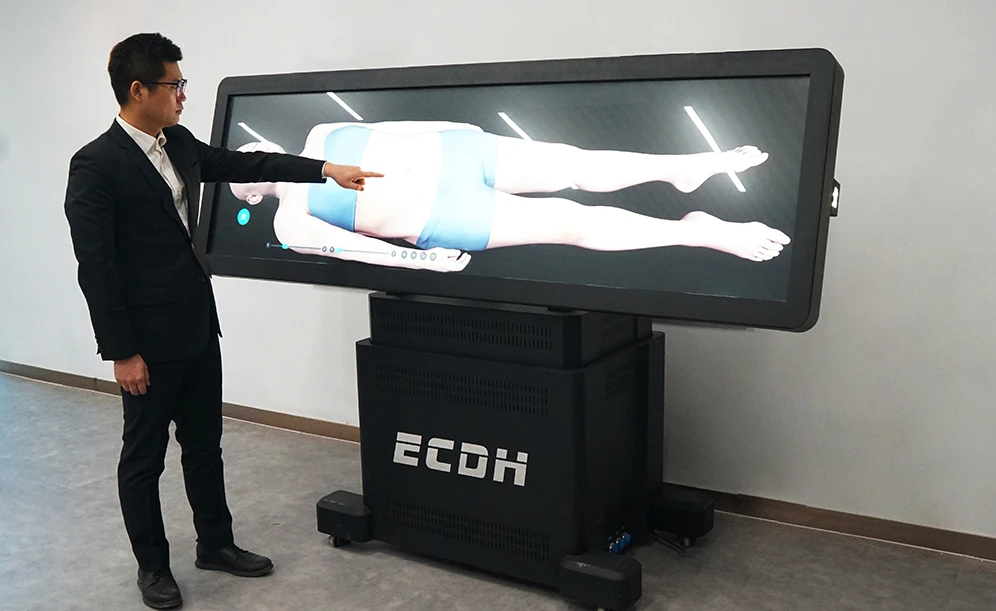 ECDH-II 88 - High-Resolution 3D Human Body Anatomy Model