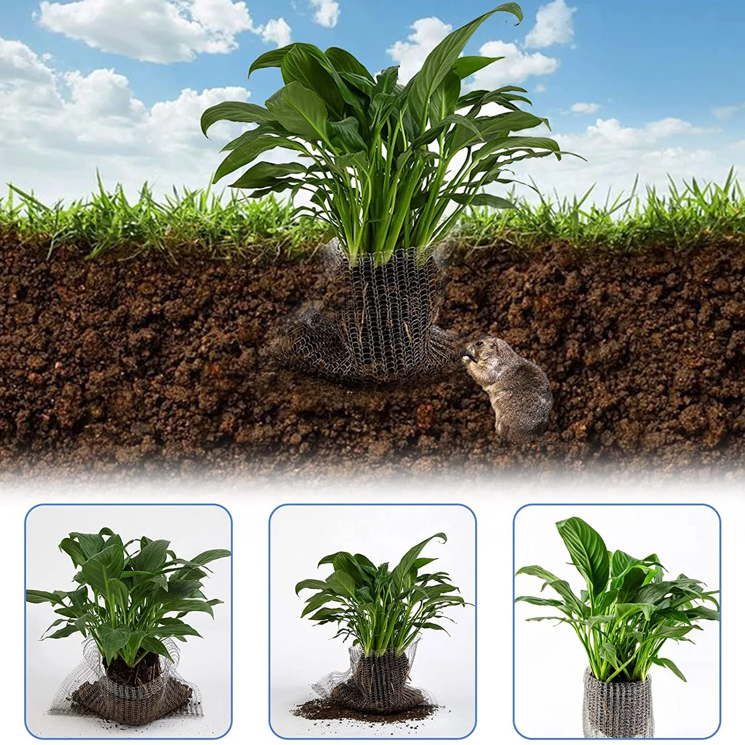 Stainless Steel Plant Root Wire Basket Reusable Root Protector Animals ...