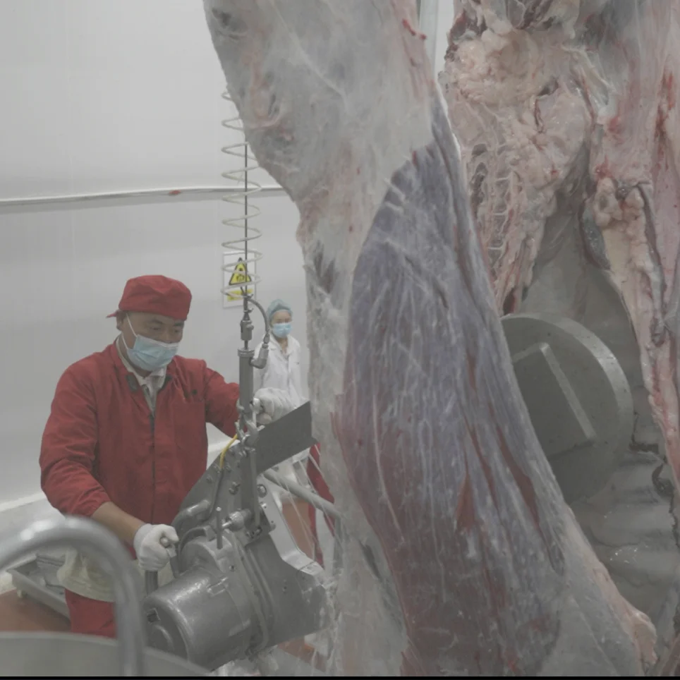 Efficient Cattle Slaughter Line - High Productivity & Quality