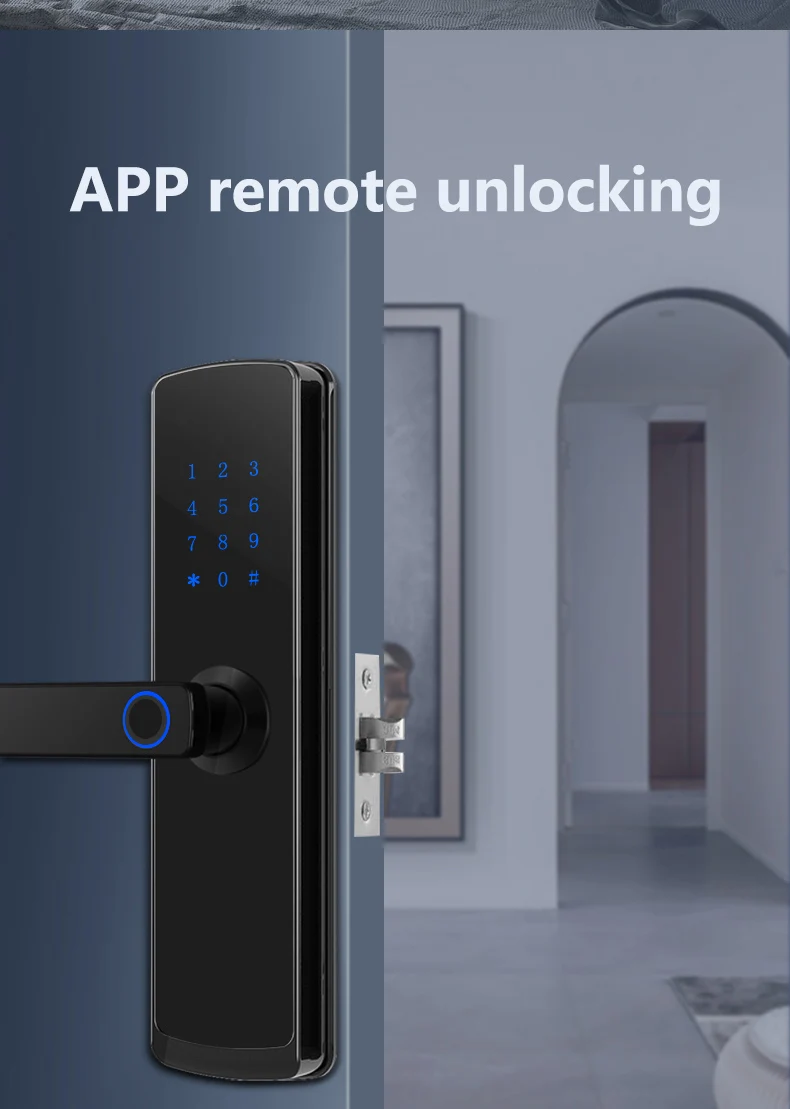 Smart Lock Biometric Intelligent Electronic Fingerprint Smart Lock Door ...