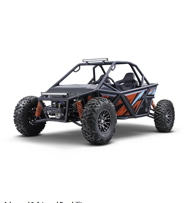 20KW Electric Dune Buggy for Adults - 4WD off-Road Fun