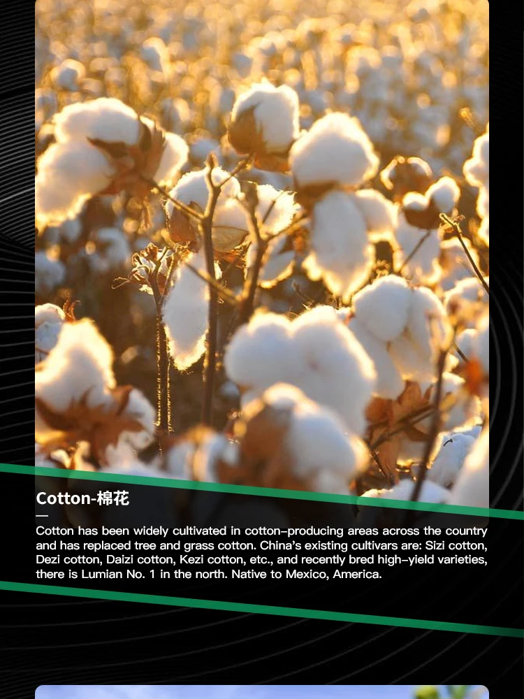 Agricultural Fertilizer Tractor Sprayer Regulator Intelligence ...