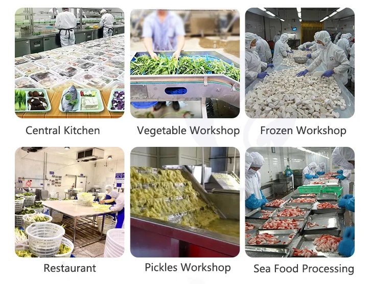 Full Automatic Vegetable Fruit Sorting Cutting Washing Drying Processing Machine Dragon Washing ...