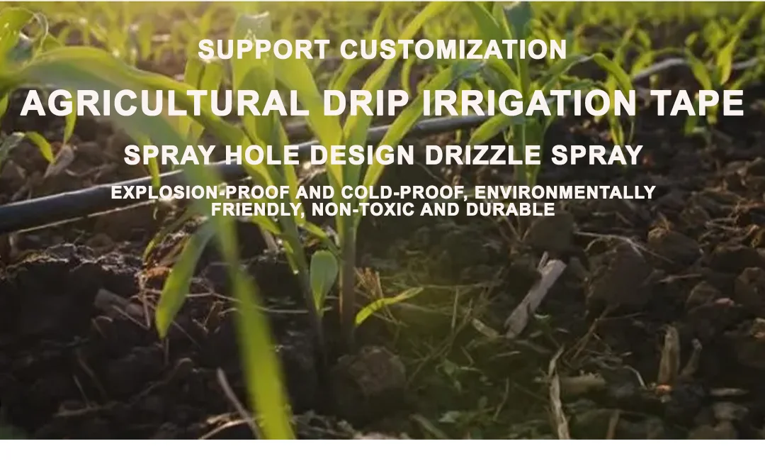 Fertigation System Irrigation Drip Drip Irrigation System Agriculture ...