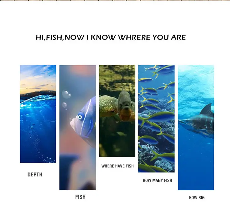 Protable Color Fish Finder With Rts Real Time Signal Fish Arches,Fish ...