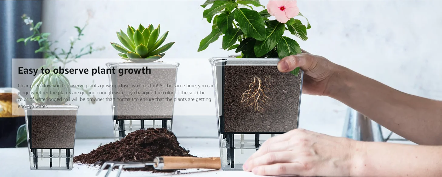Eco-friendly Transparent Flower Planter - Self Watering
