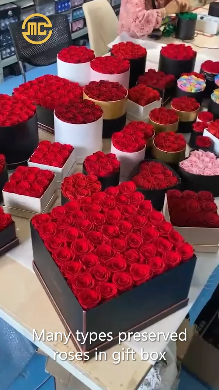 Eternal Roses Preserved Flowers Rosas Eternas Preservadas 2023 ...